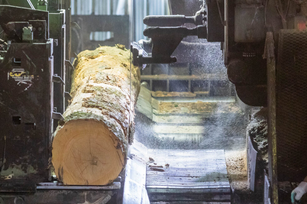 Mississippi Timber | Mississippi Department of Agriculture and Commerce